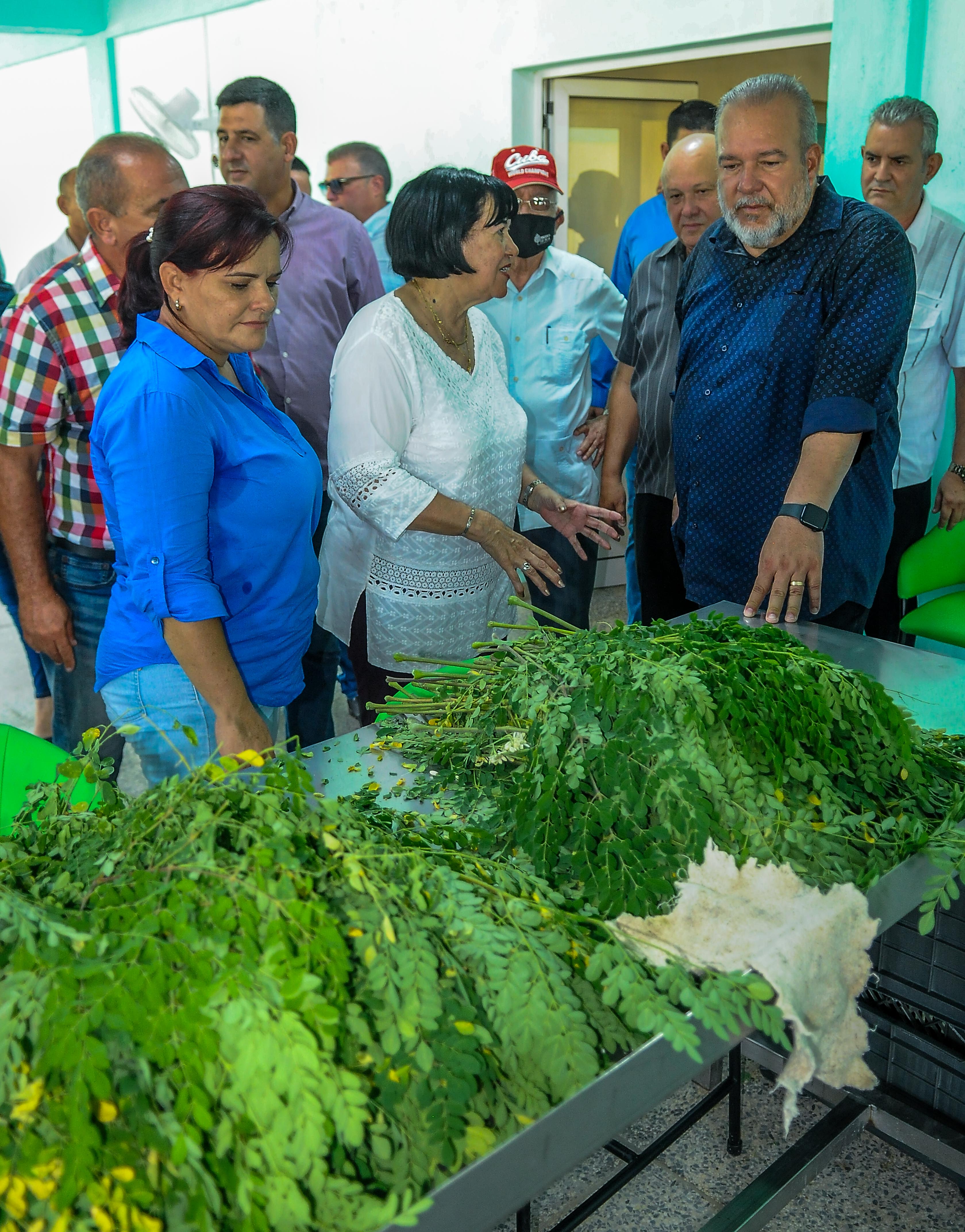 Inauguran en Pinar del Río fábrica para la producción de polvo de ...