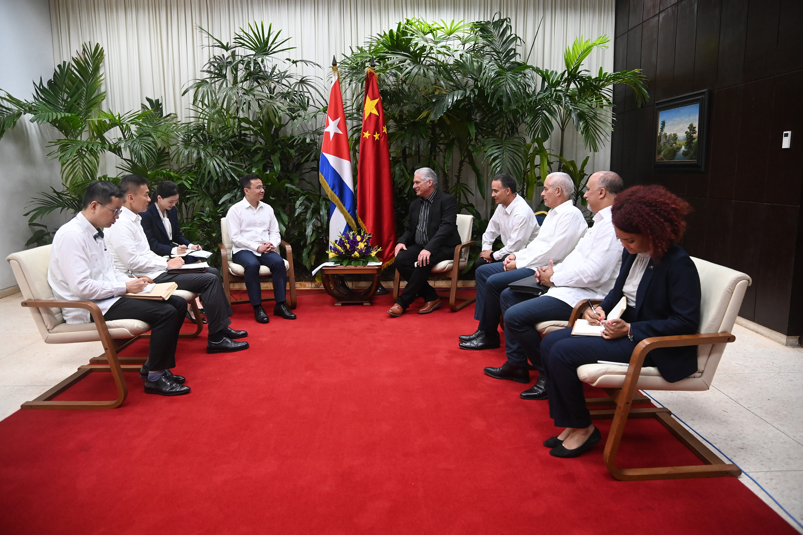 Cuba y China afianzan su cooperación con pasos seguros (+Audio ...